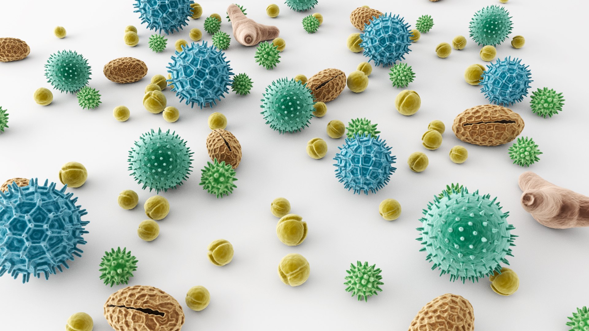 Pollen 3D Model - TurboSquid 2237975
