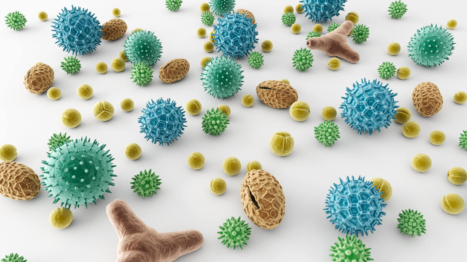 Pollen 3D Model - TurboSquid 2237975