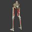maya muscle leg medical edition