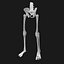 maya muscle leg medical edition