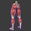 maya muscle leg medical edition