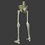 maya muscle leg medical edition