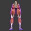 maya muscle leg medical edition