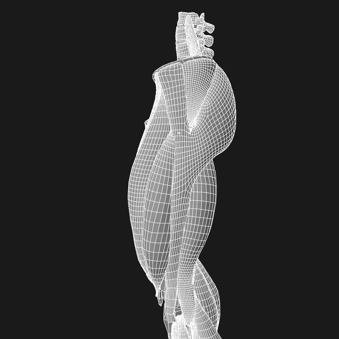 maya muscle leg medical edition