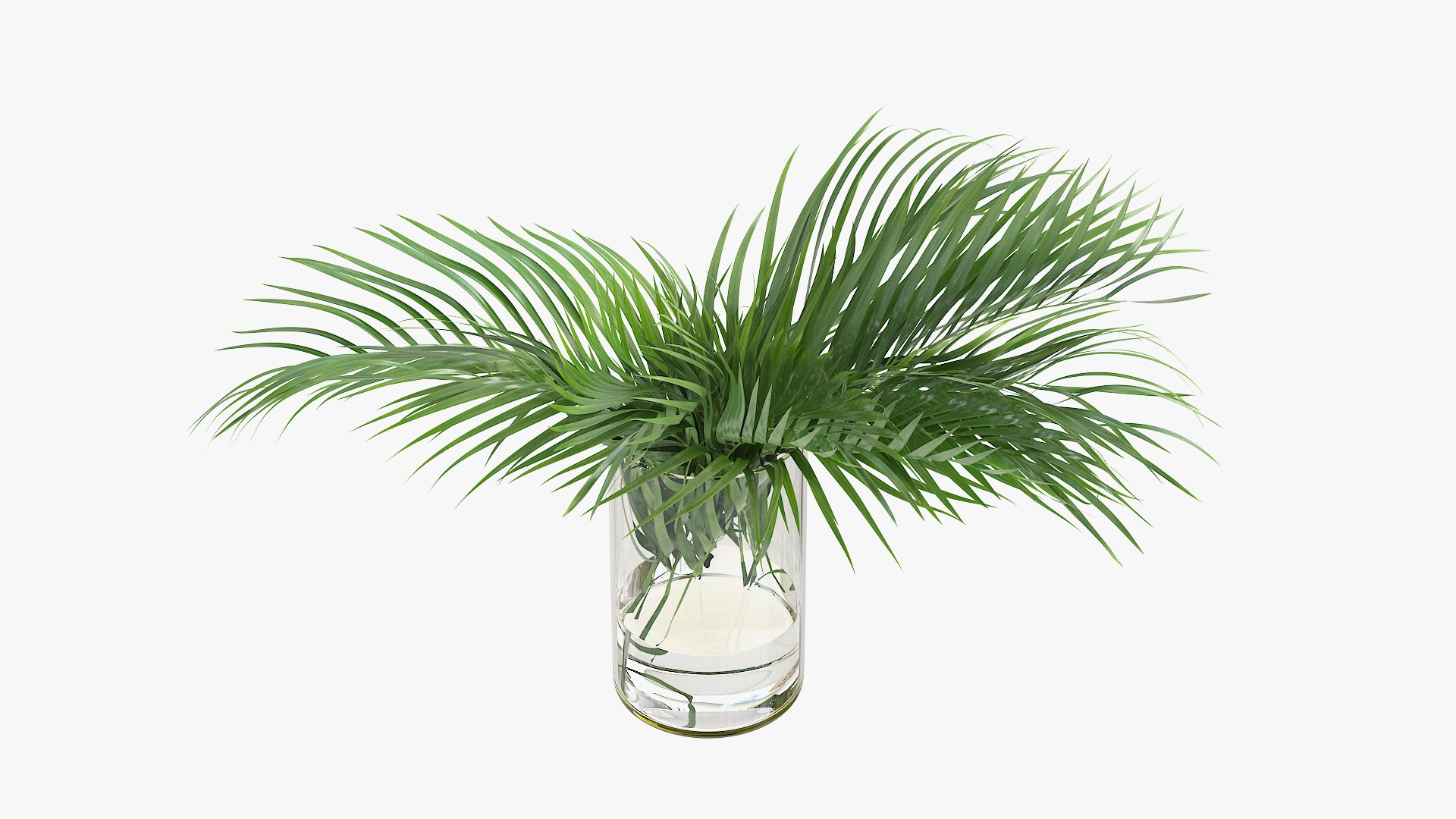 3D Palm Model - TurboSquid 1543635