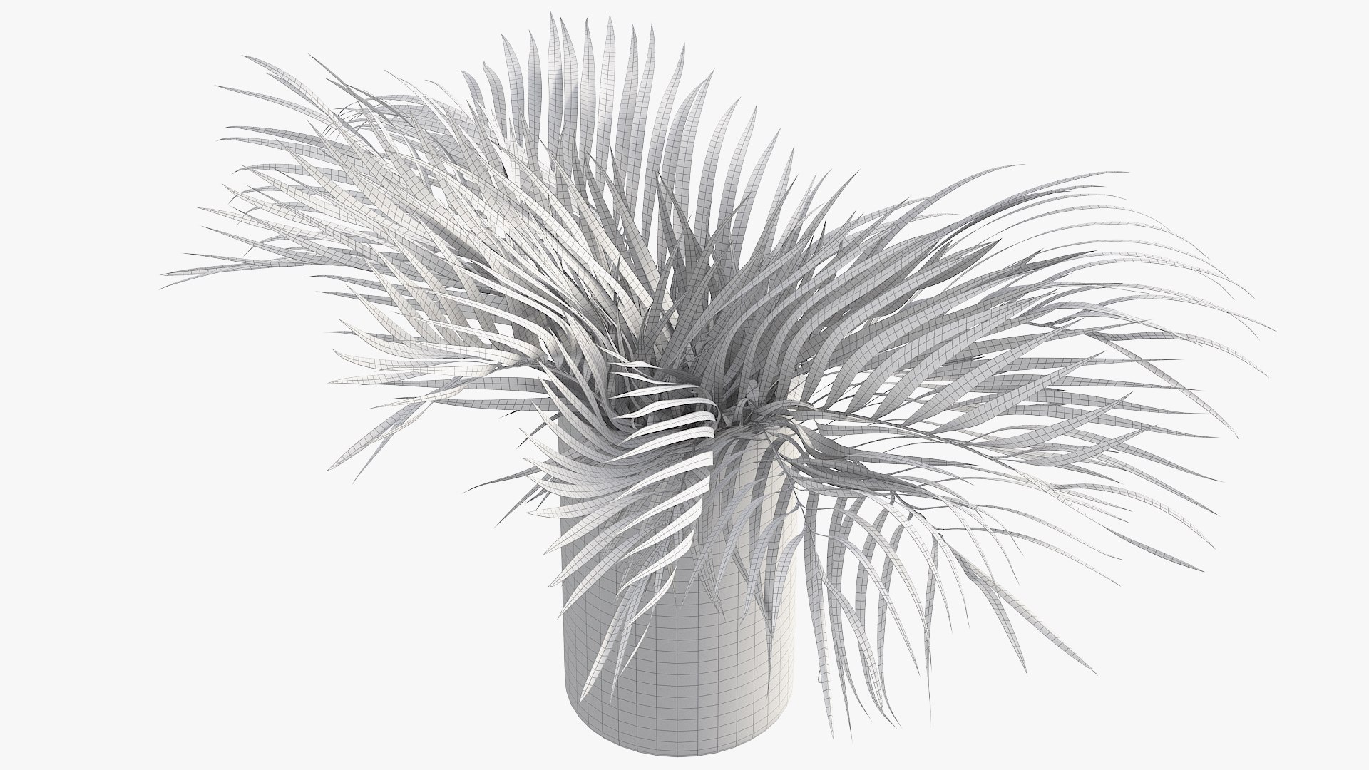 3D Palm Model - TurboSquid 1543635