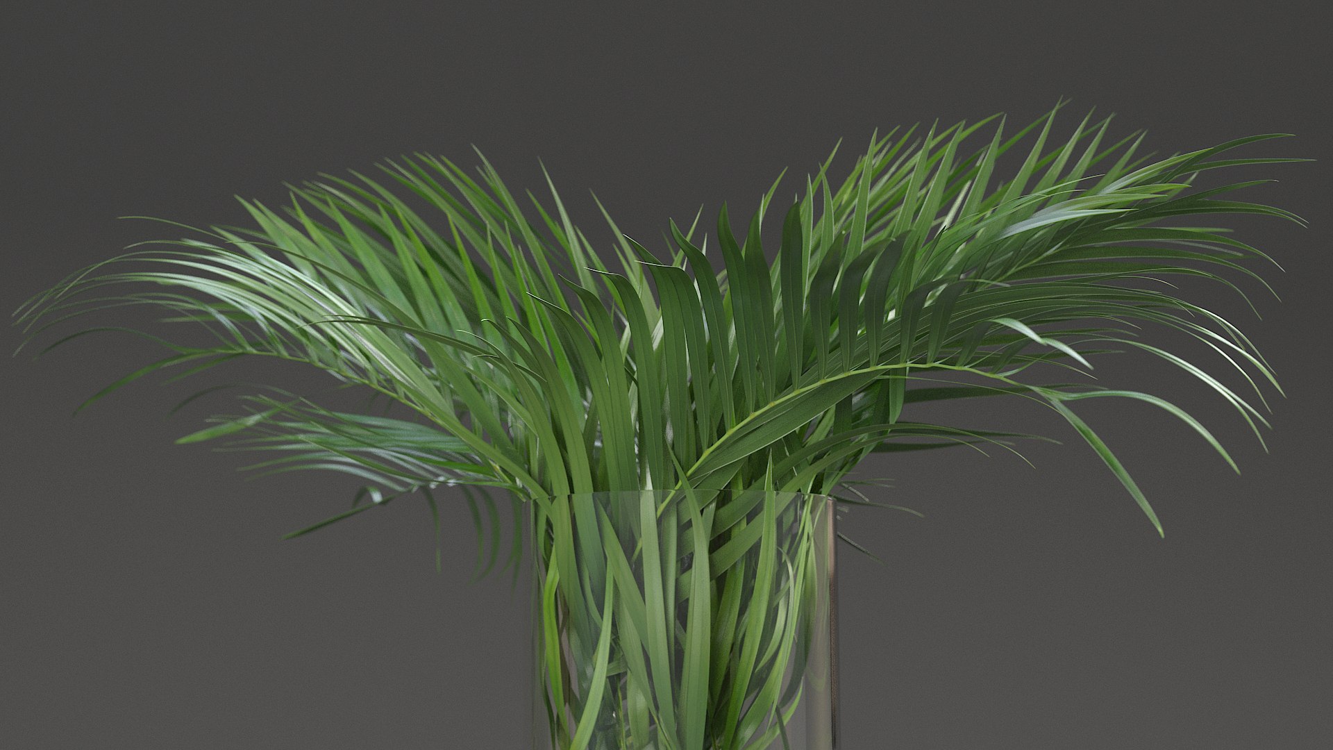 3D Palm Model - TurboSquid 1543635