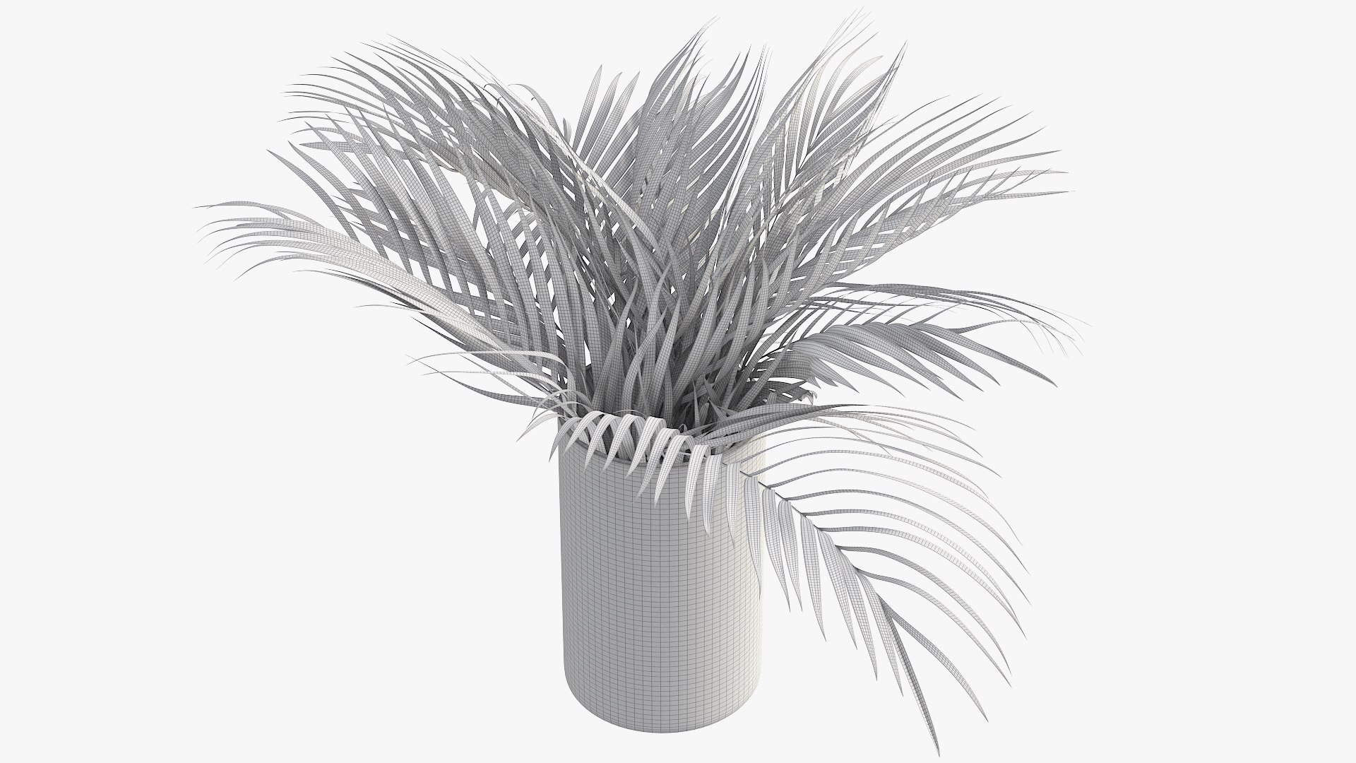 3D Palm Model - TurboSquid 1543635