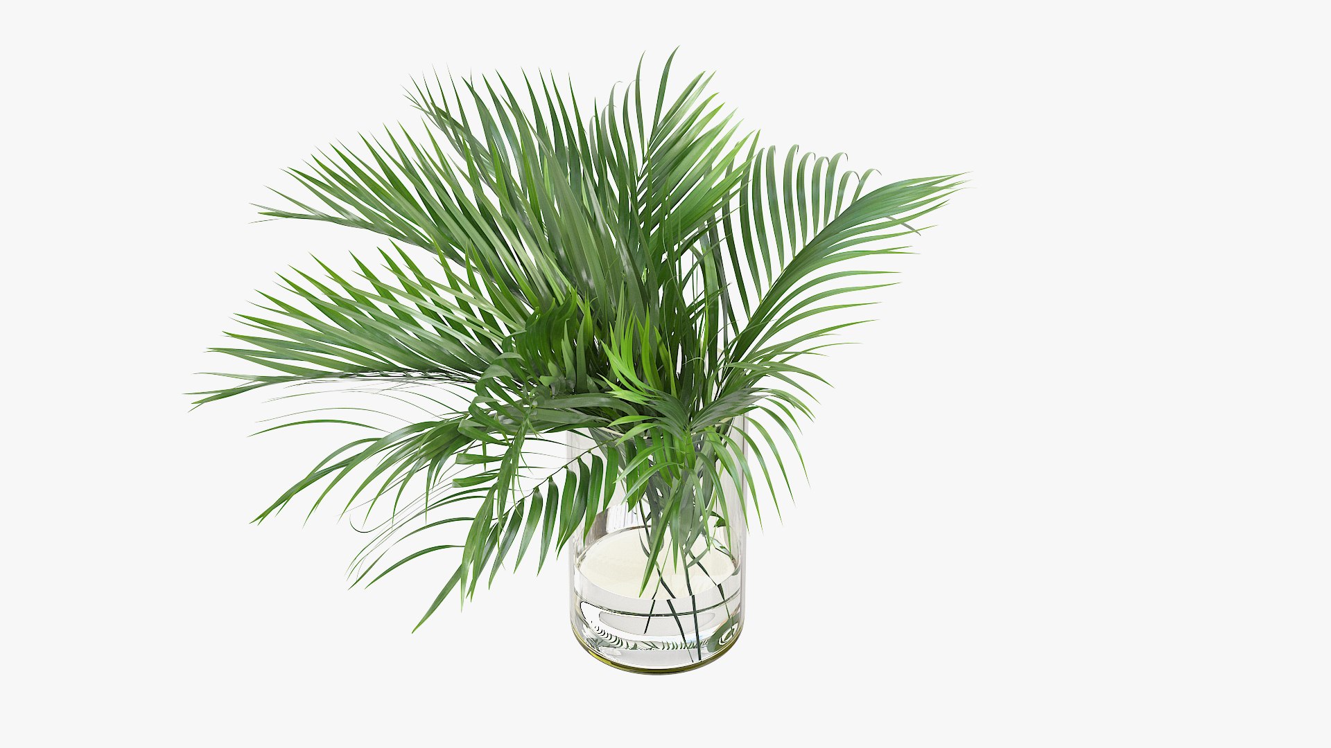 3D Palm Model - TurboSquid 1543635