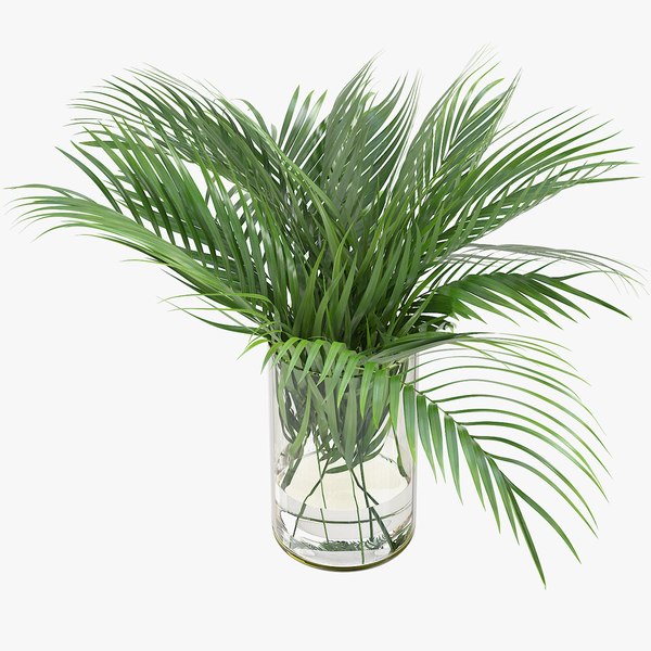 야자 나무 잎 3D 모델 - TurboSquid 1543635