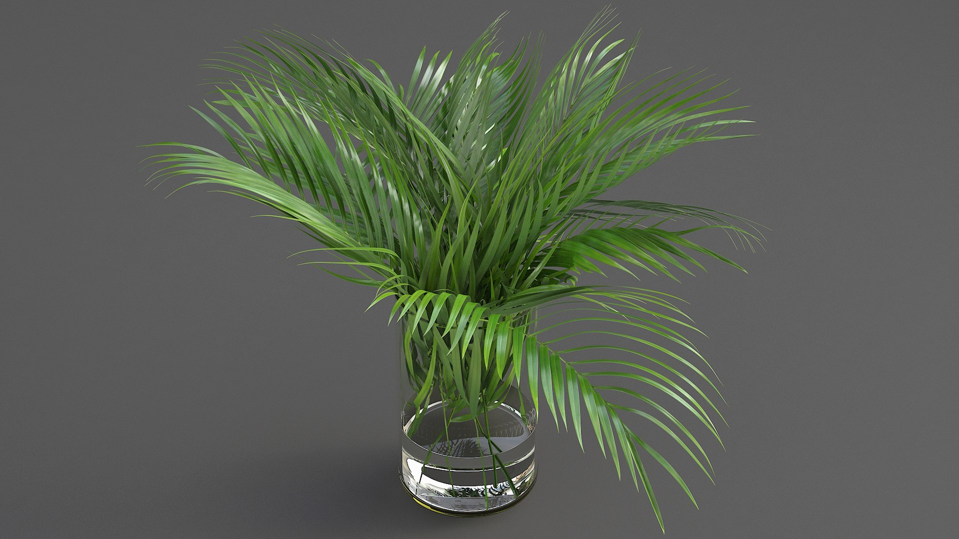 3D Palm Model - TurboSquid 1543635