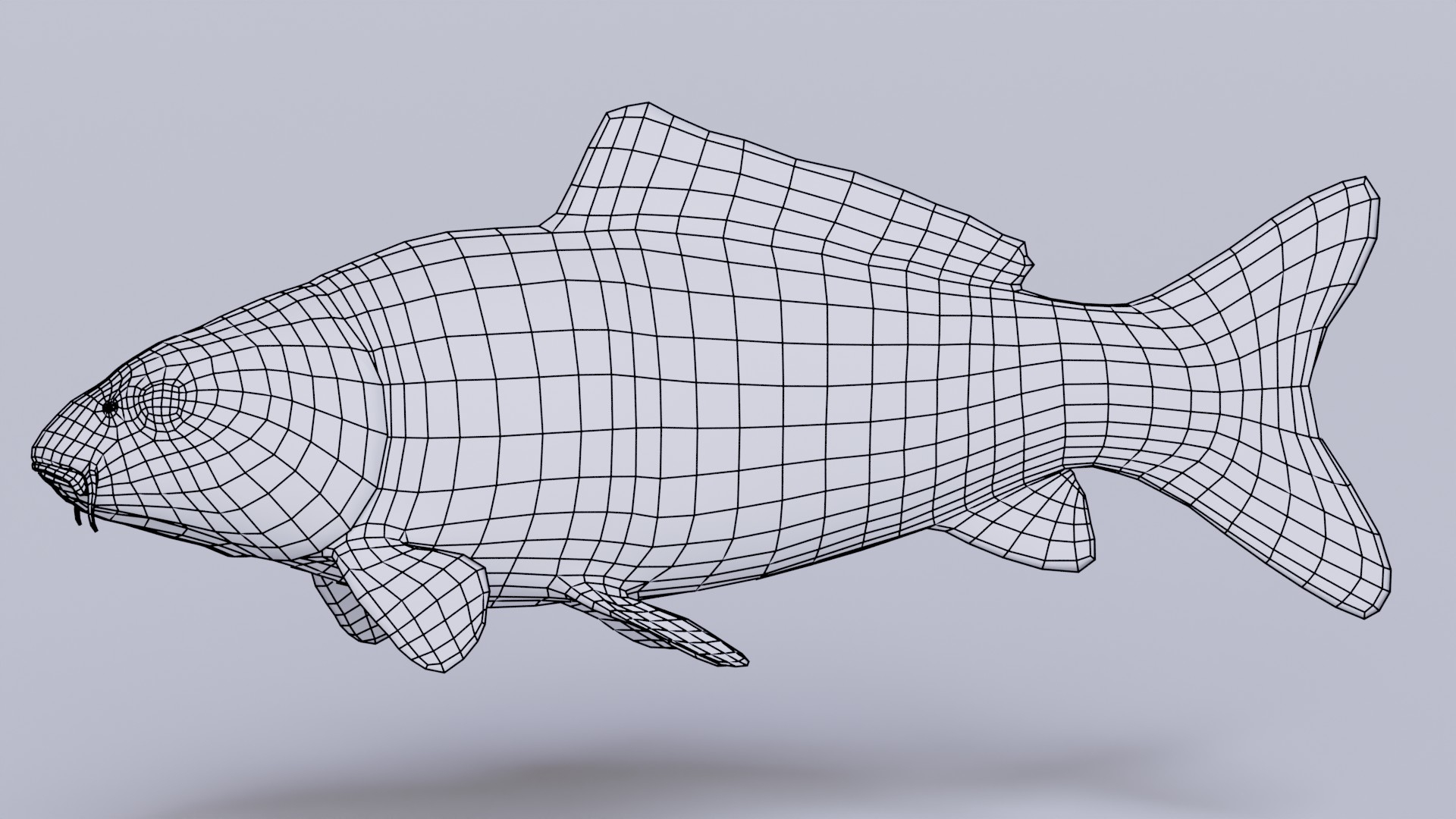 3D Common Carp Model - TurboSquid 1837449