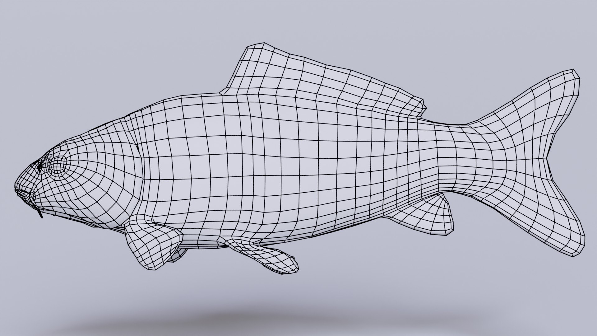 3D Common Carp Model - TurboSquid 1837449