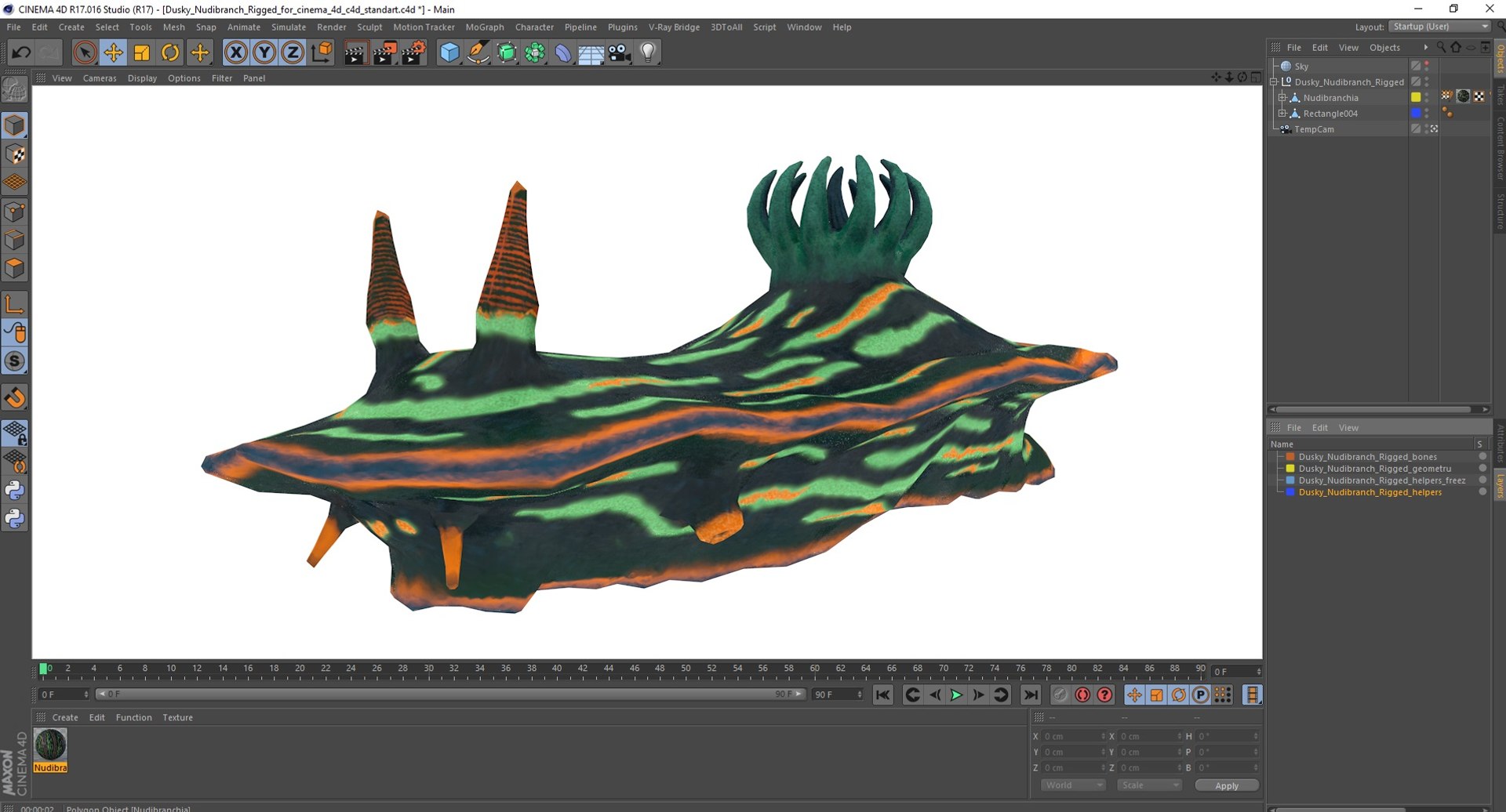 Dusky Nudibranch Rigged For Cinema 4D 3D Model - TurboSquid 2207160