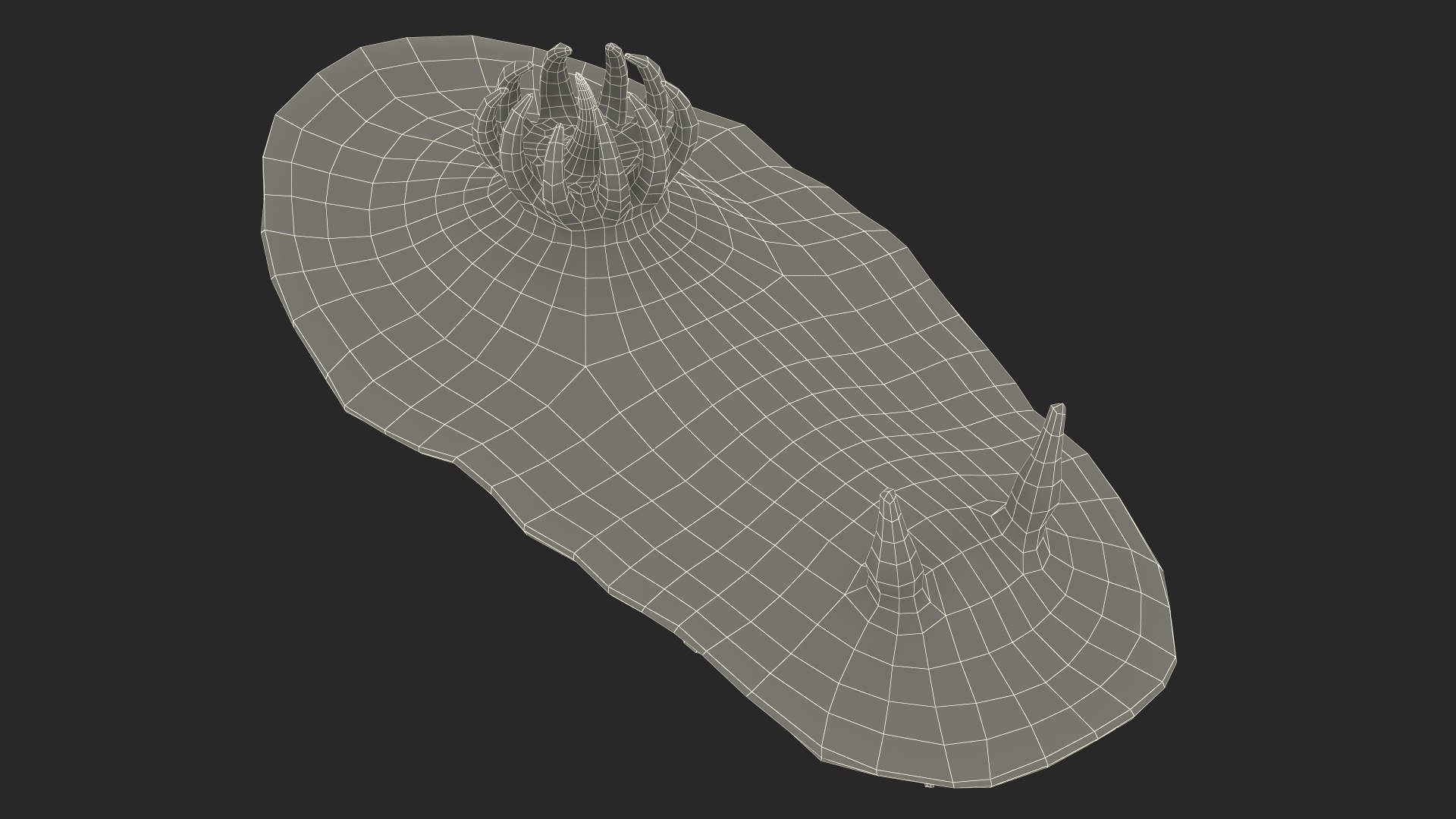 Dusky Nudibranch Rigged For Cinema 4D 3D Model - TurboSquid 2207160