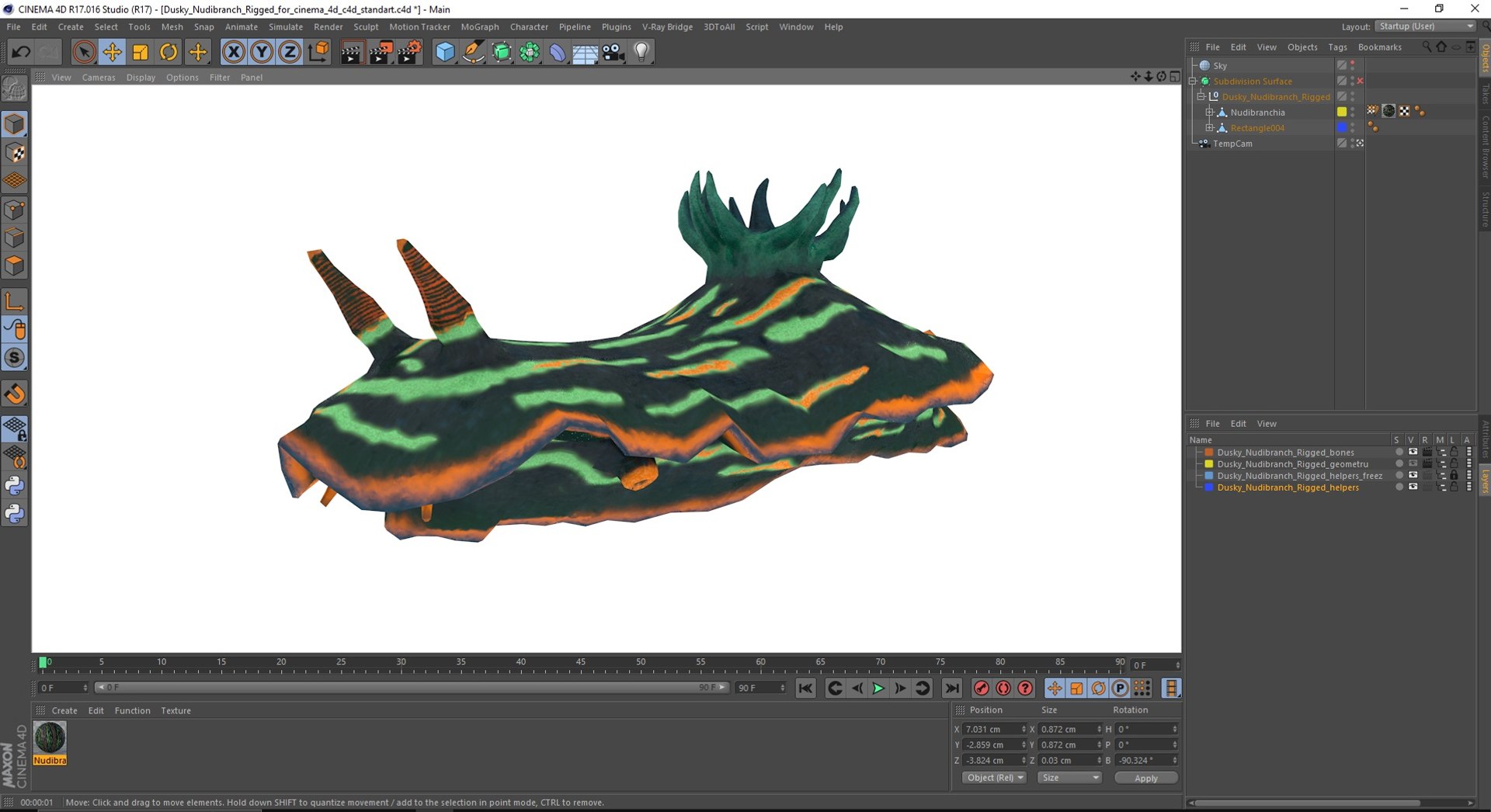 Dusky Nudibranch Rigged For Cinema 4D 3D Model - TurboSquid 2207160