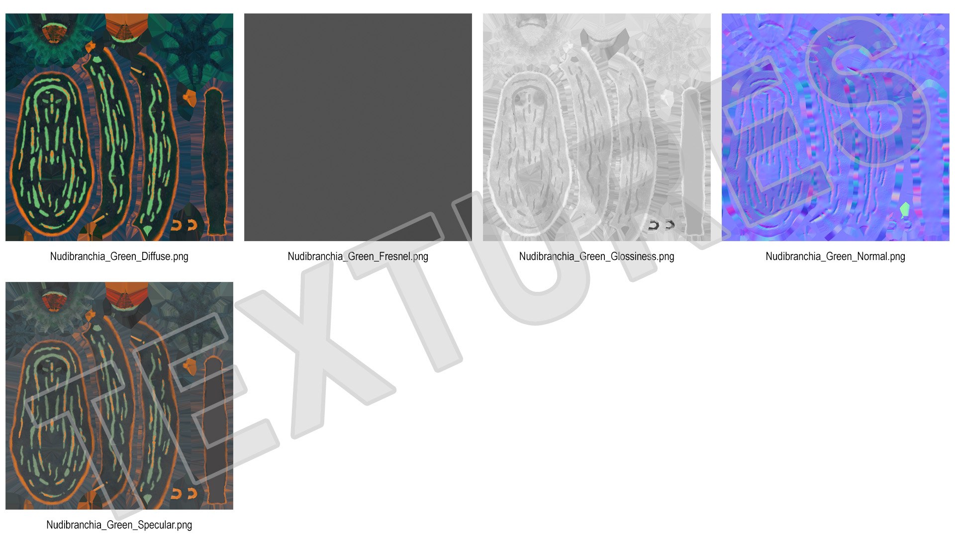 Dusky Nudibranch Rigged For Cinema 4D 3D Model - TurboSquid 2207160