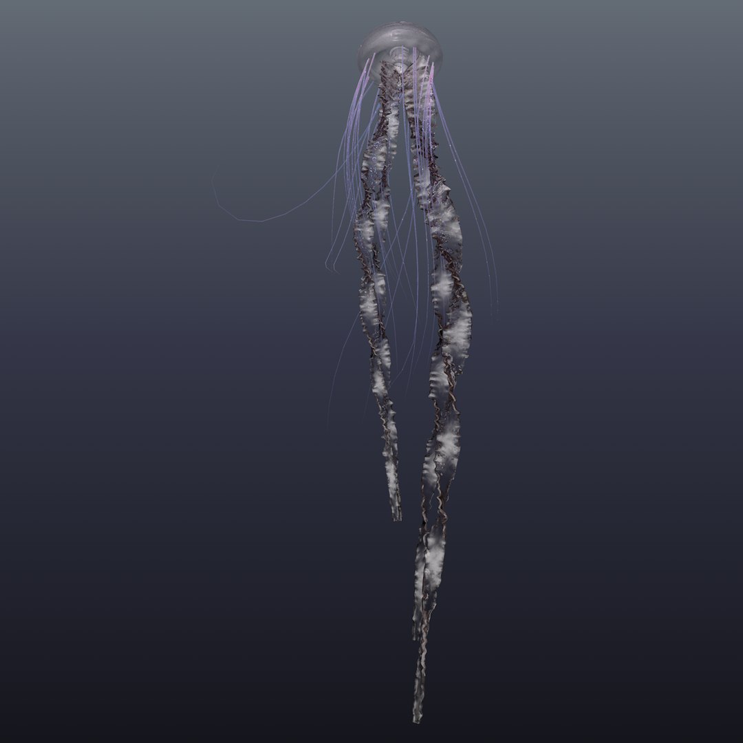 3D Realistic Jellyfish Model - TurboSquid 1453365