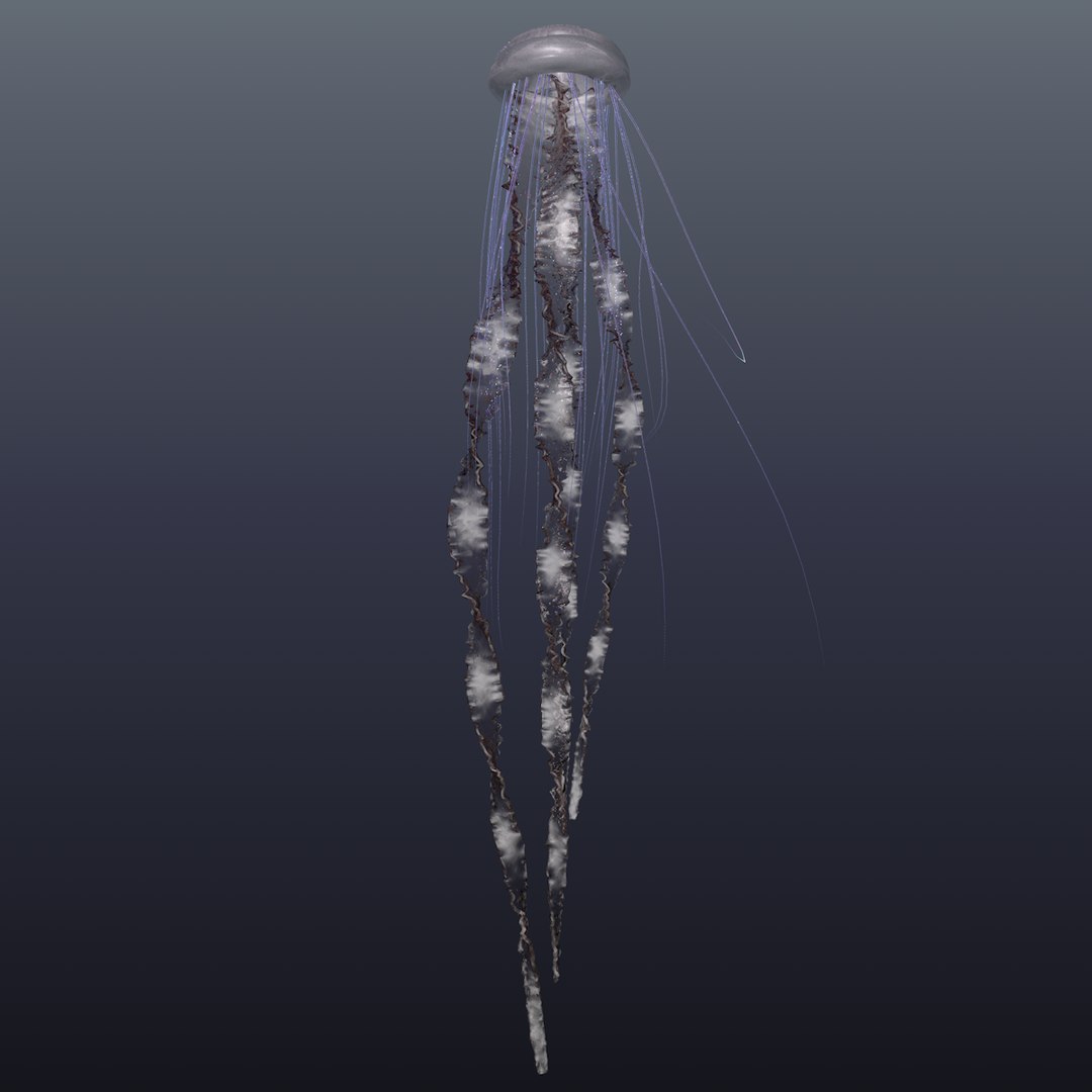 3D Realistic Jellyfish Model - TurboSquid 1453365