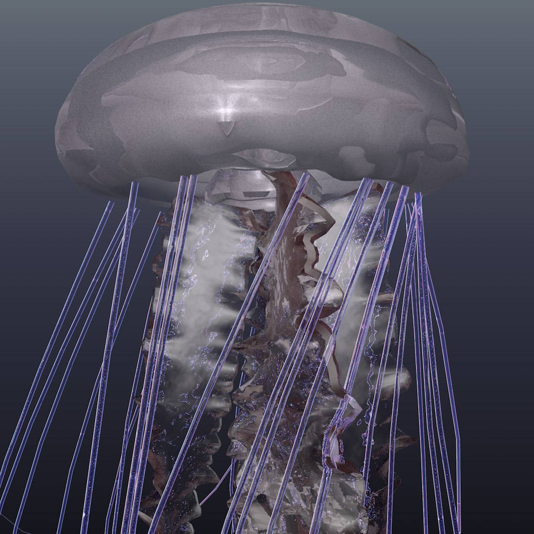 3D Realistic Jellyfish Model - TurboSquid 1453365