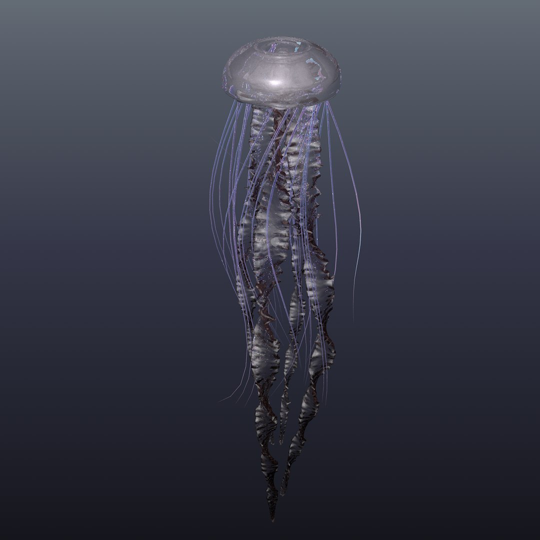 3D Realistic Jellyfish Model - TurboSquid 1453365