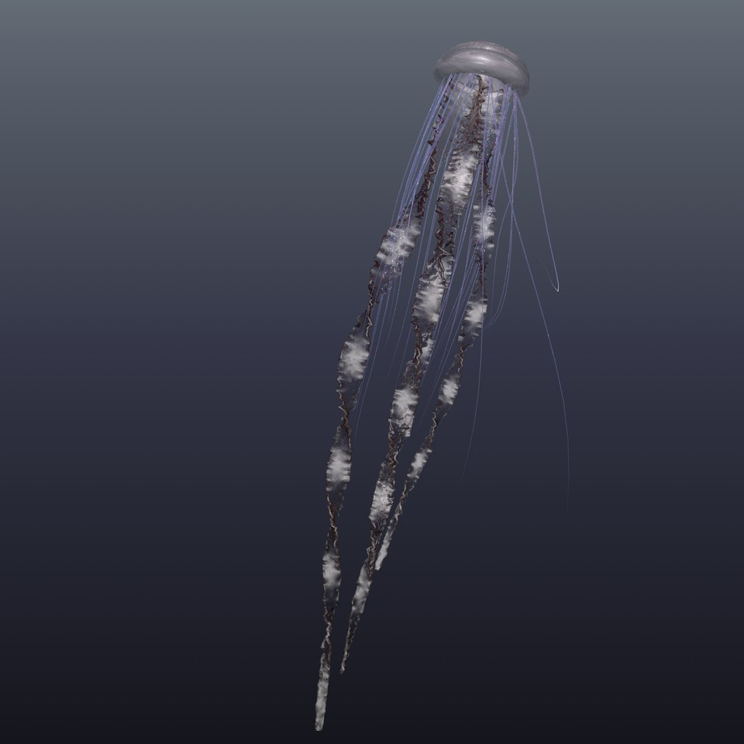 3D Realistic Jellyfish Model - TurboSquid 1453365