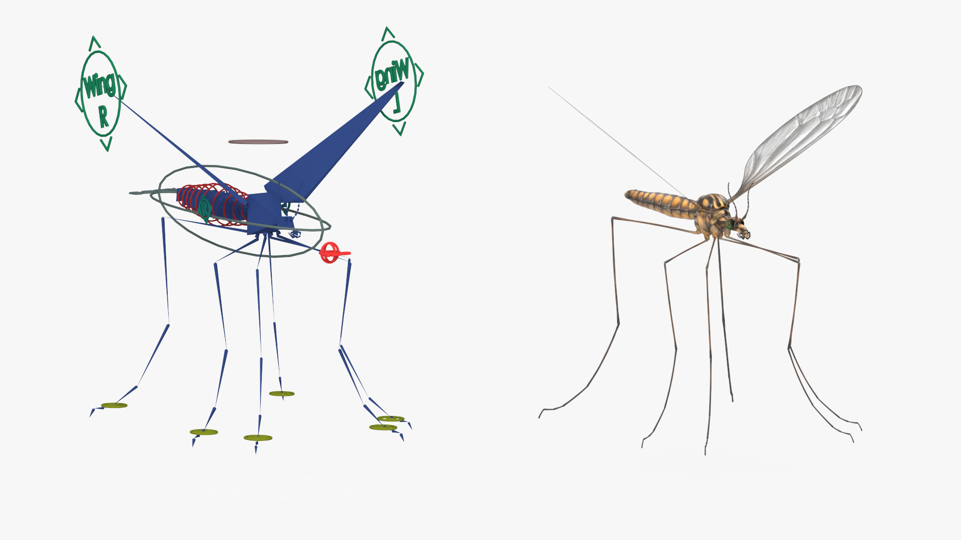 3D Crane Fly Gallinipper Mosquito Rigged - TurboSquid 2227998