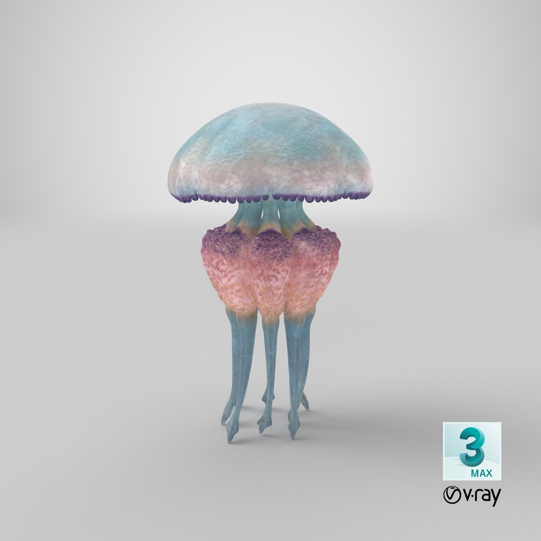 jellyfish 03 3d max