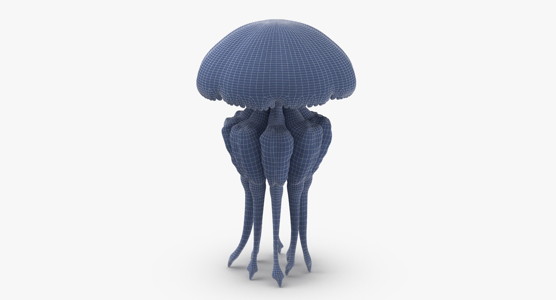 jellyfish 03 3d max
