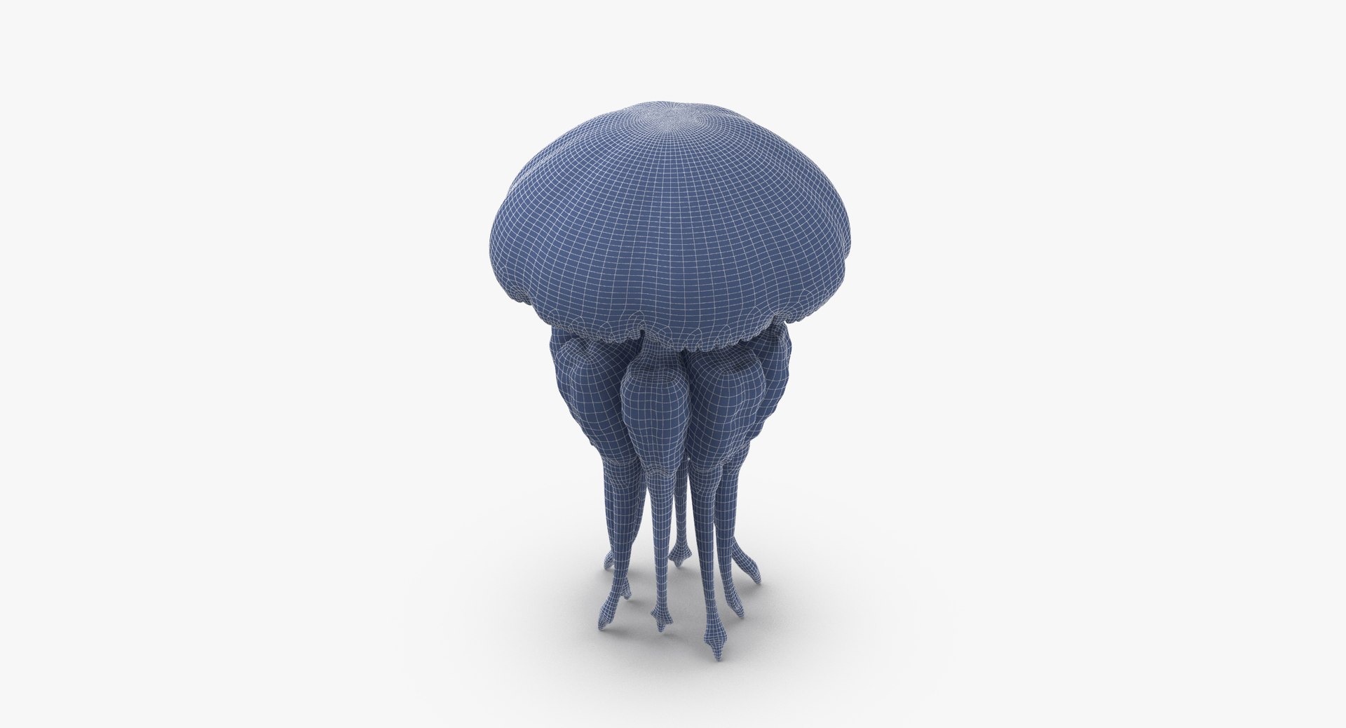jellyfish 03 3d max