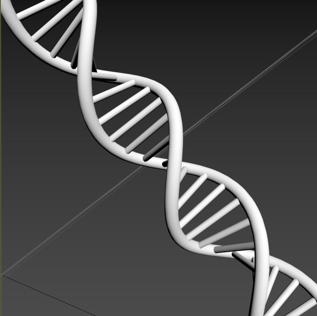 3D Dna Gene Science Model - TurboSquid 1360455