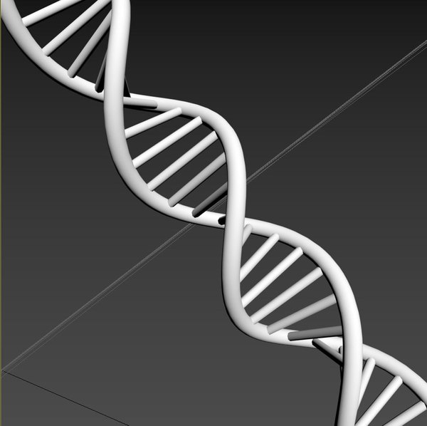 3D dna gene science model - TurboSquid 1360455