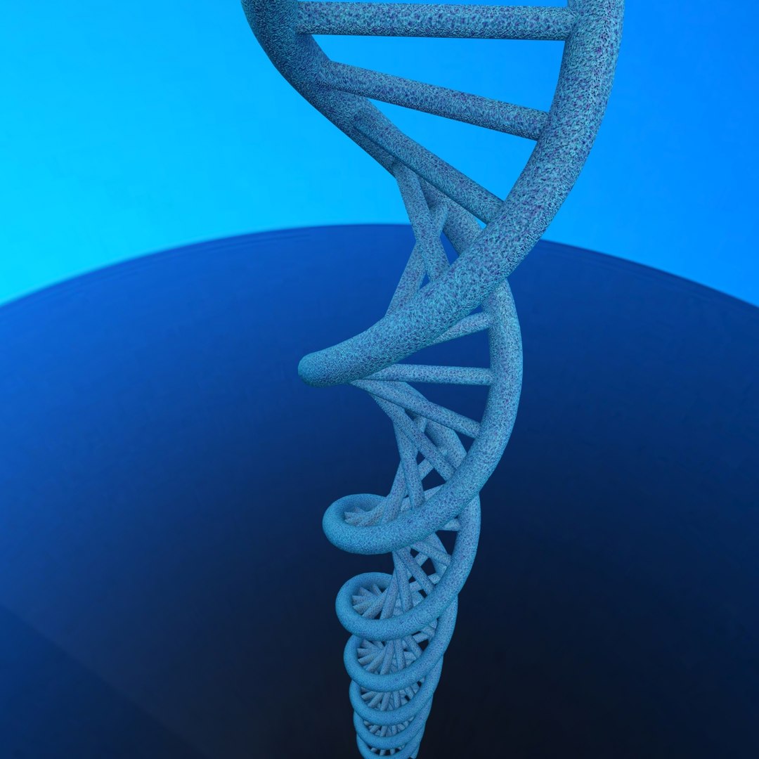 3D Dna Gene Science Model - TurboSquid 1360455