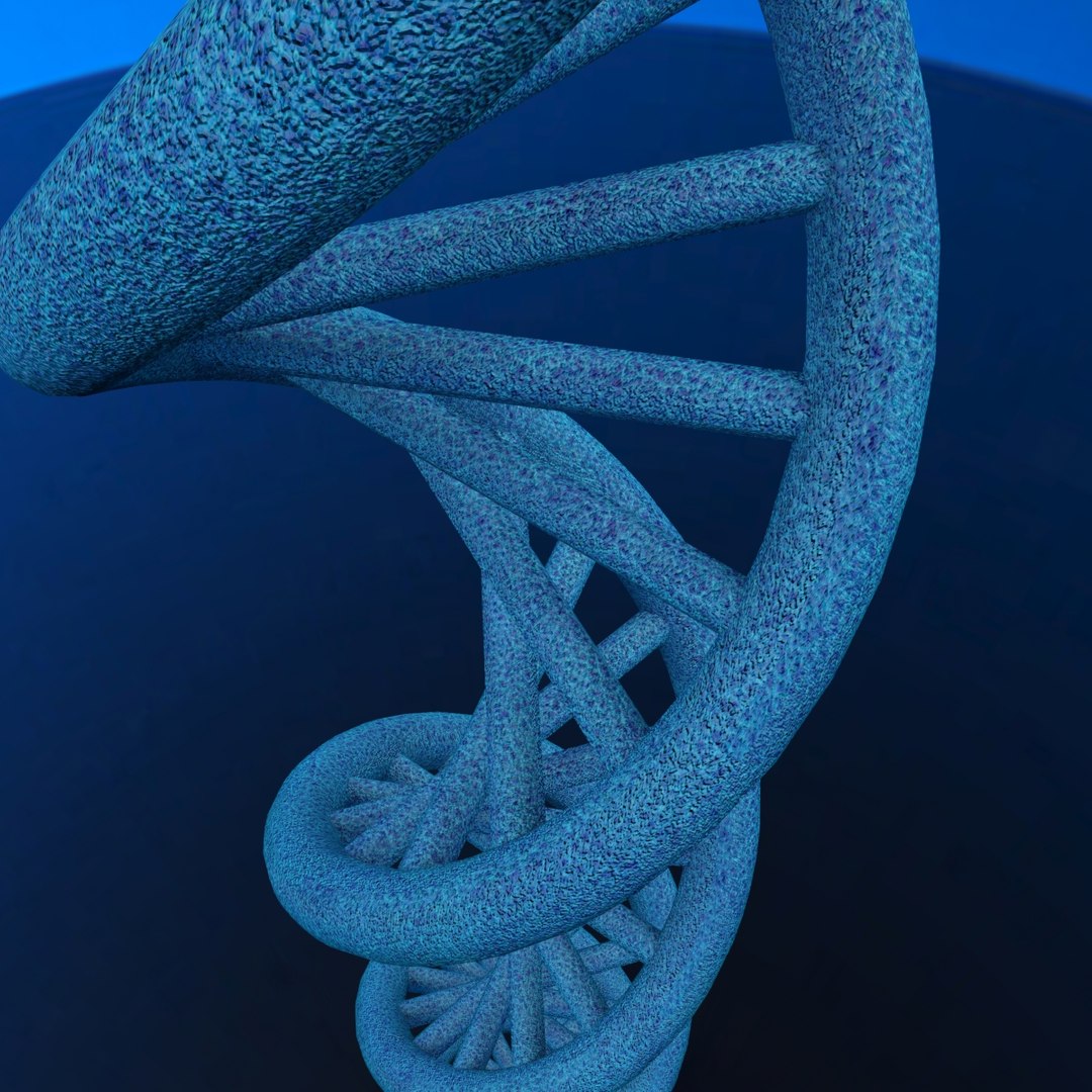 3D Dna Gene Science Model - TurboSquid 1360455