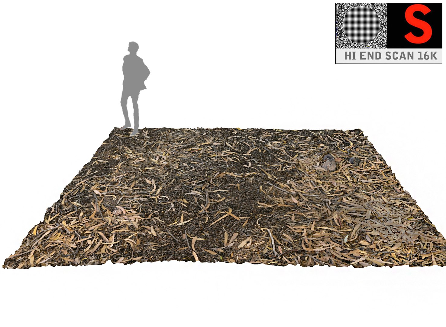 Ground Jungle 16k Ultra 3D - TurboSquid 1440299