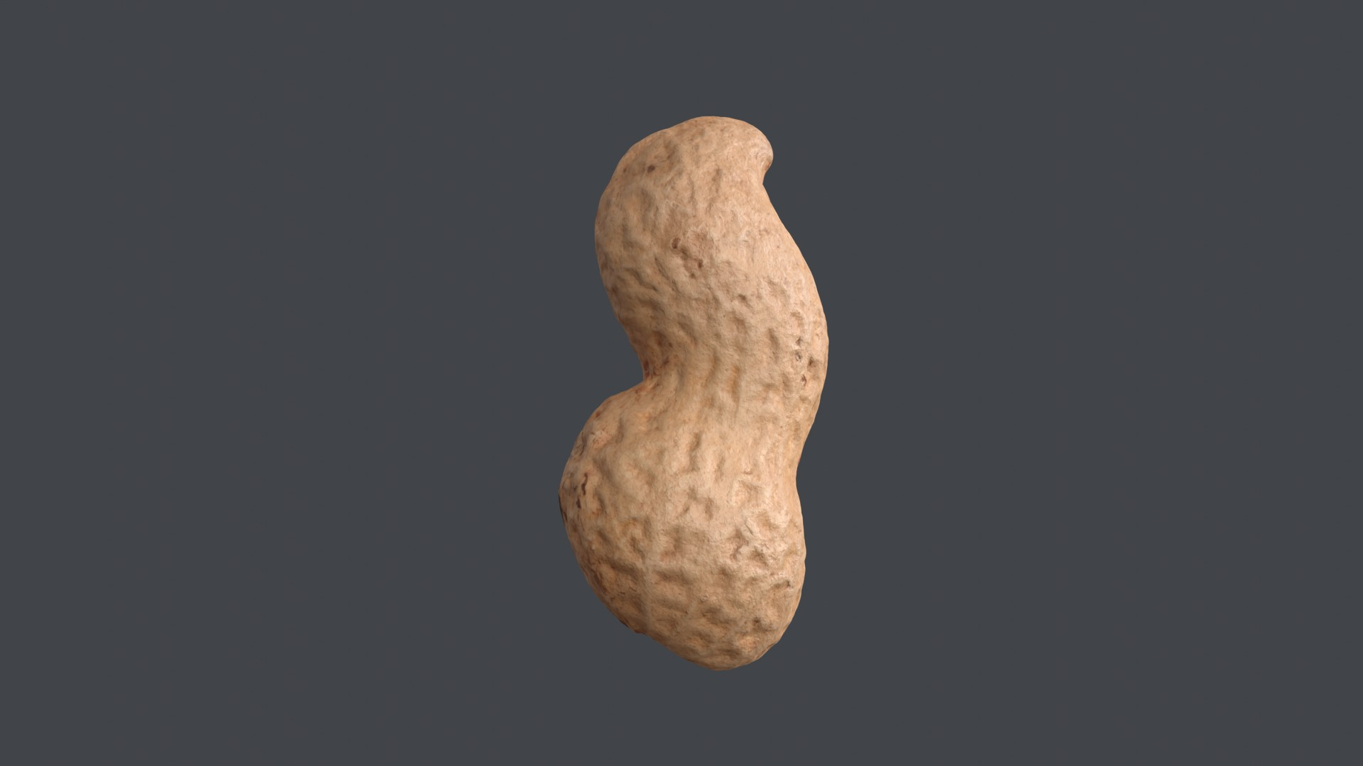Peanut Unshelled Double Pod 3 3D - TurboSquid 1942839