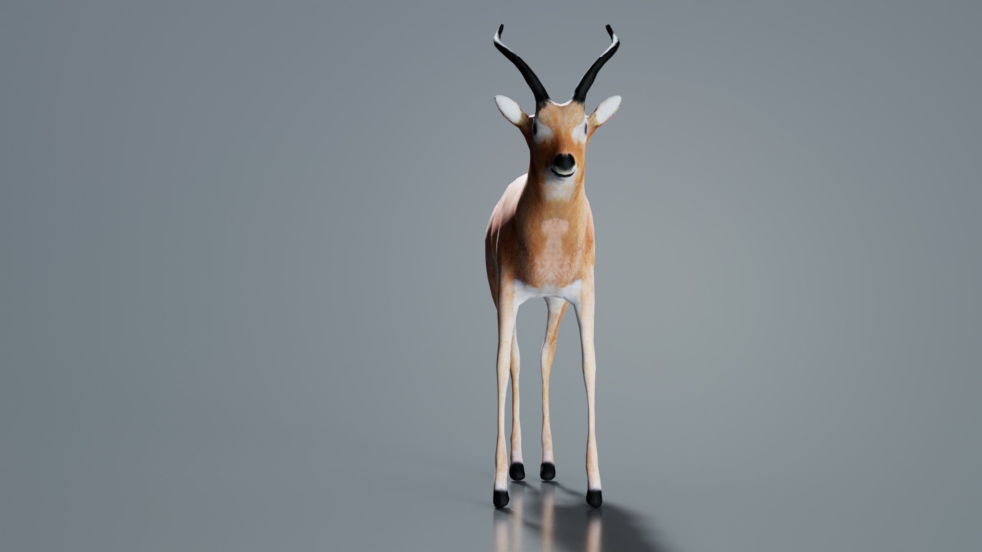 3D Impala Remastered - TurboSquid 2359811