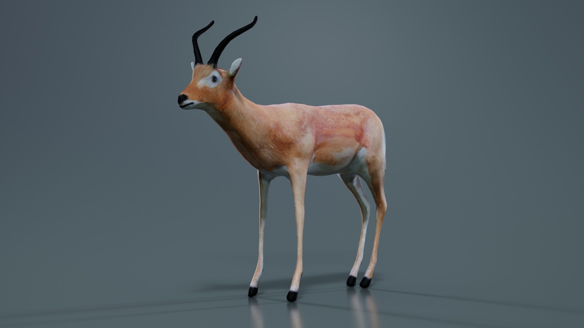 3D Impala Remastered - TurboSquid 2359811