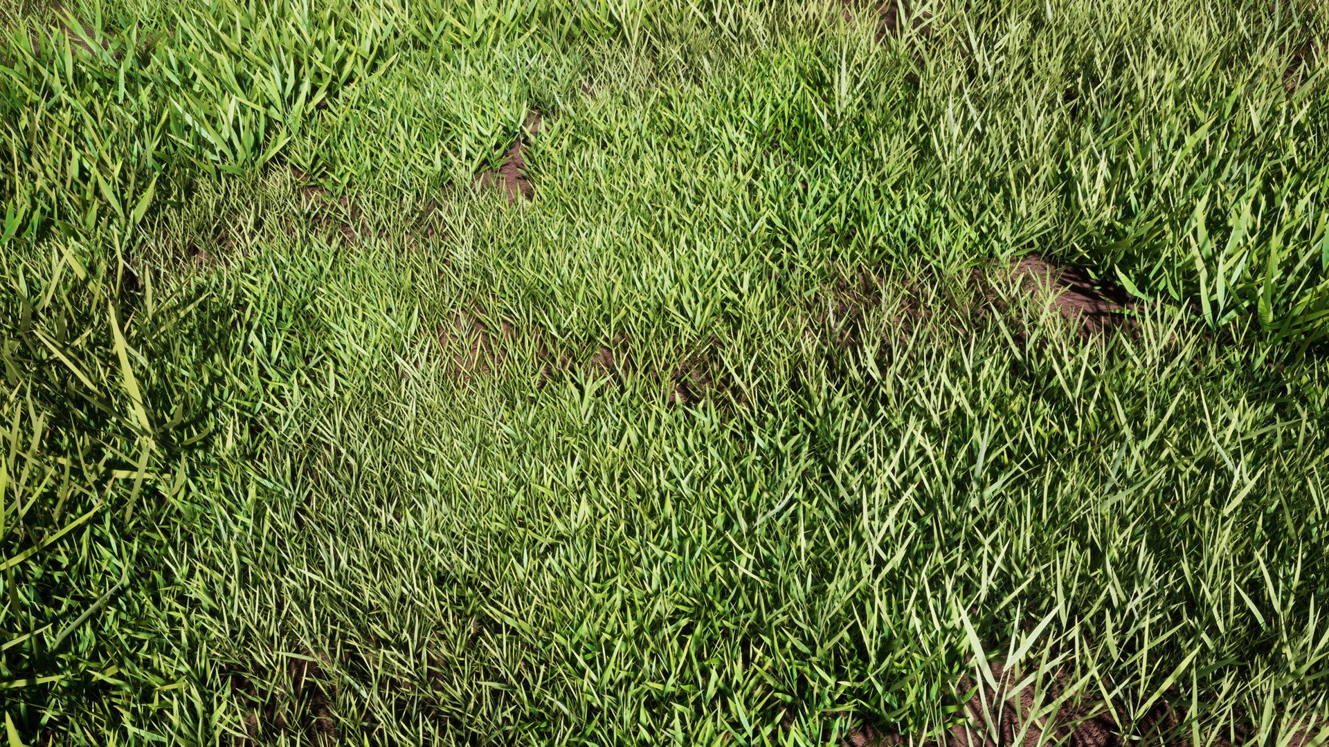Grass Pack Unreal Engine 3D - TurboSquid 1375548
