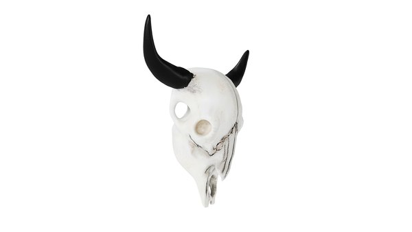 Bull Skull 3D model - TurboSquid 1845574