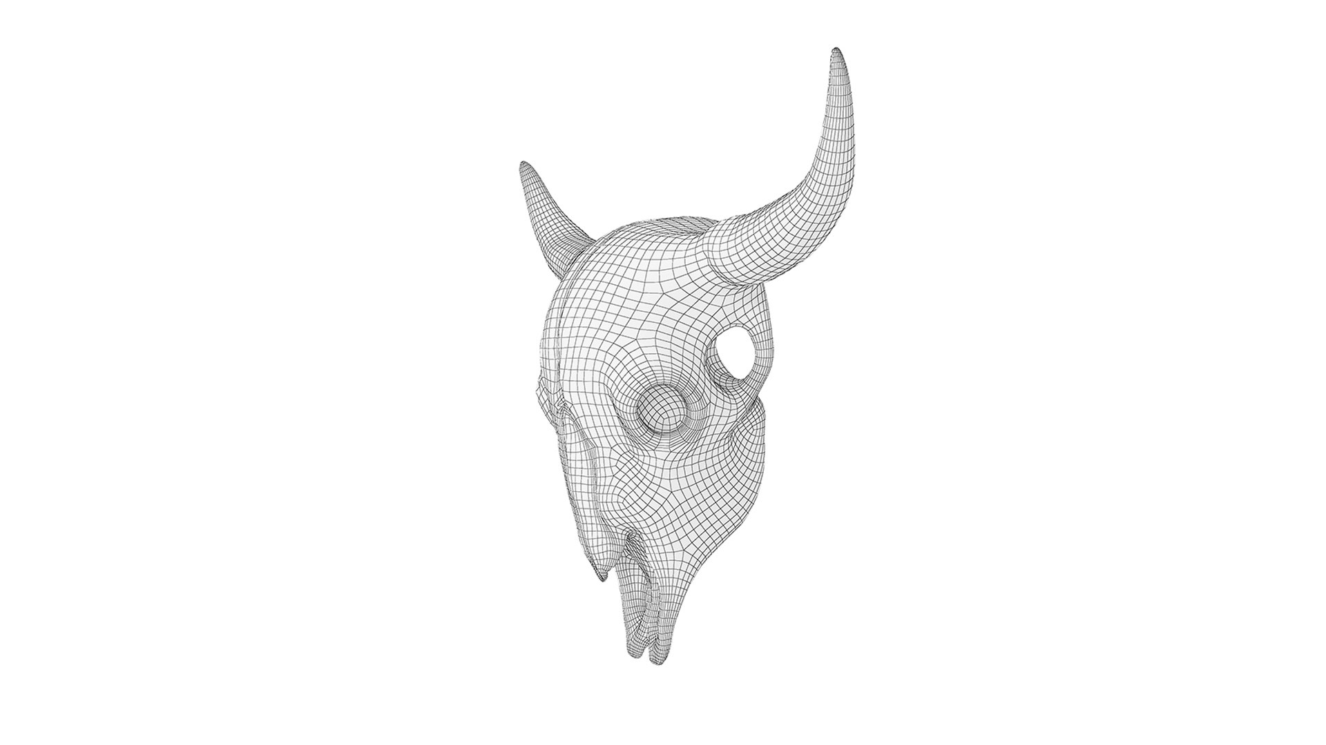 Bull Skull 3D Model - TurboSquid 1845574