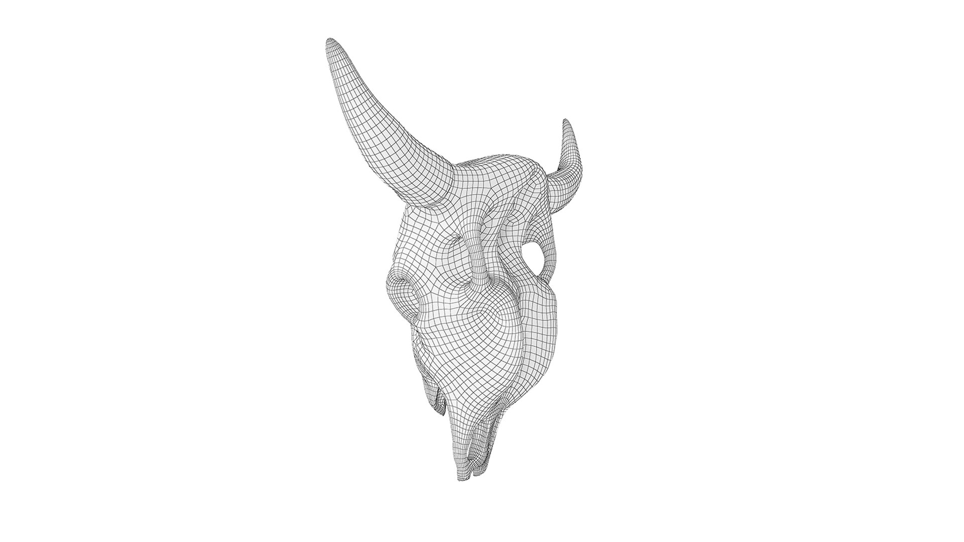 Bull Skull 3D Model - TurboSquid 1845574