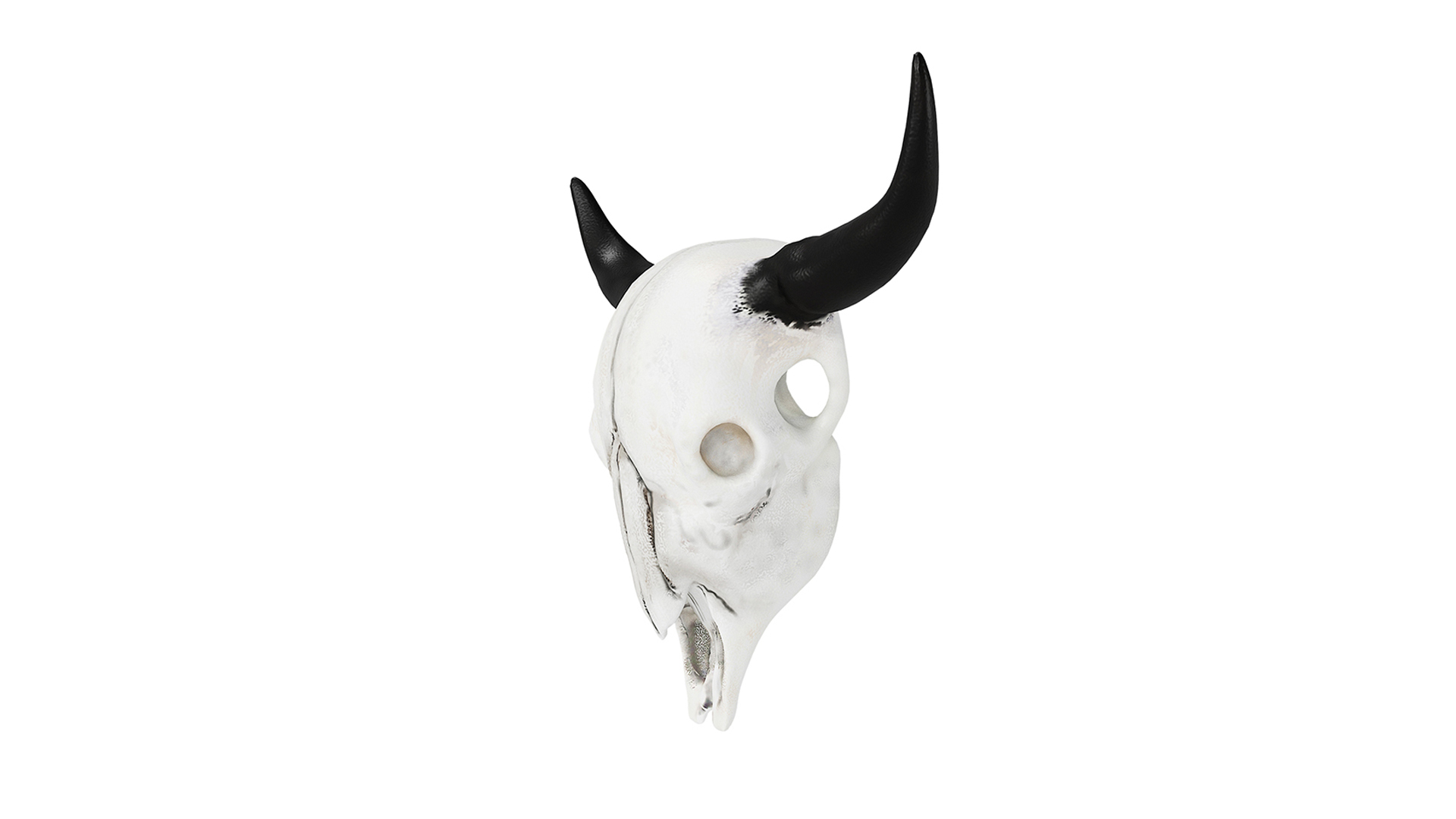 Bull Skull 3D model - TurboSquid 1845574