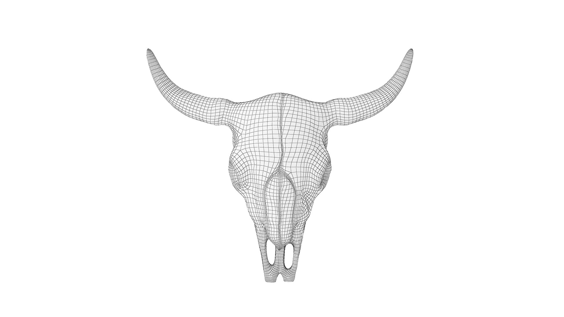 Bull Skull 3D Model - TurboSquid 1845574