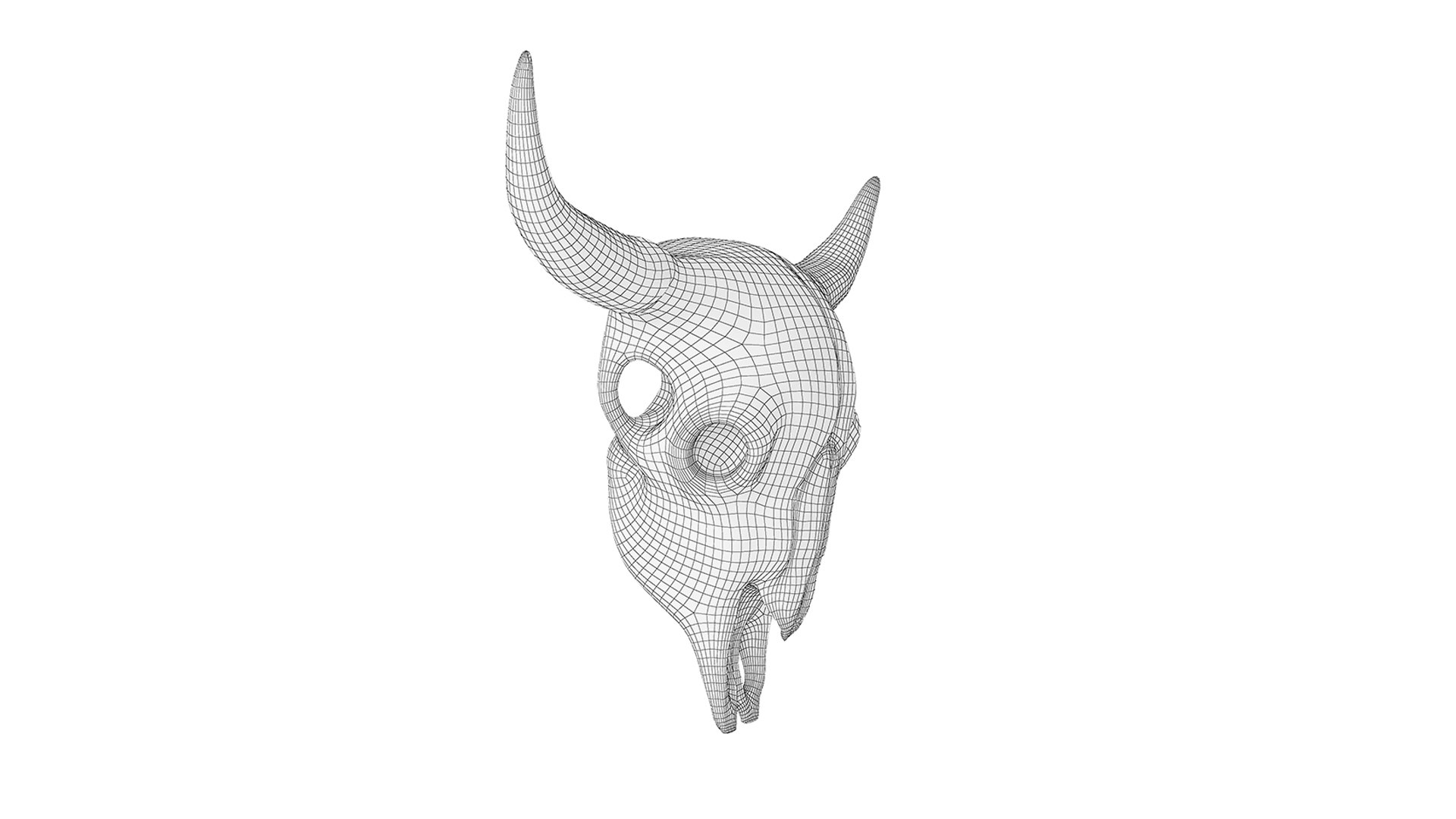 Bull Skull 3D Model - TurboSquid 1845574