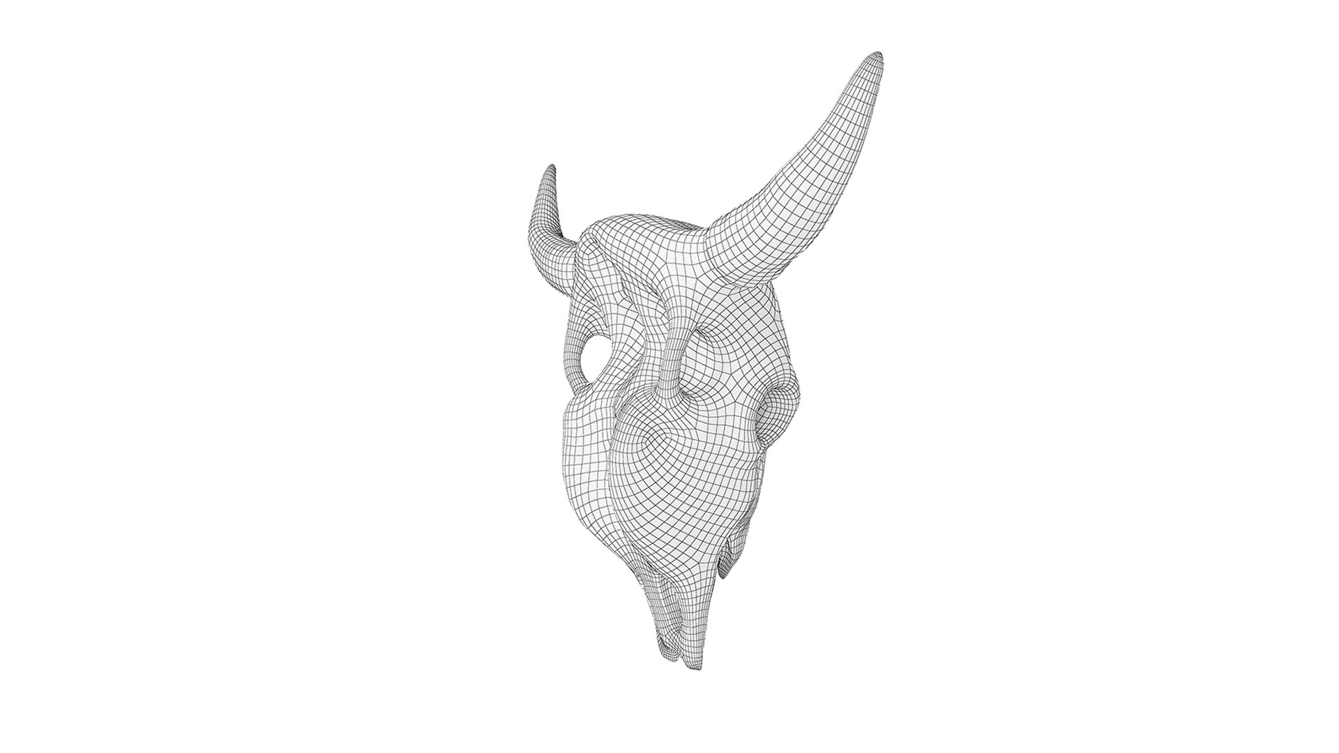 Bull Skull 3D Model - TurboSquid 1845574