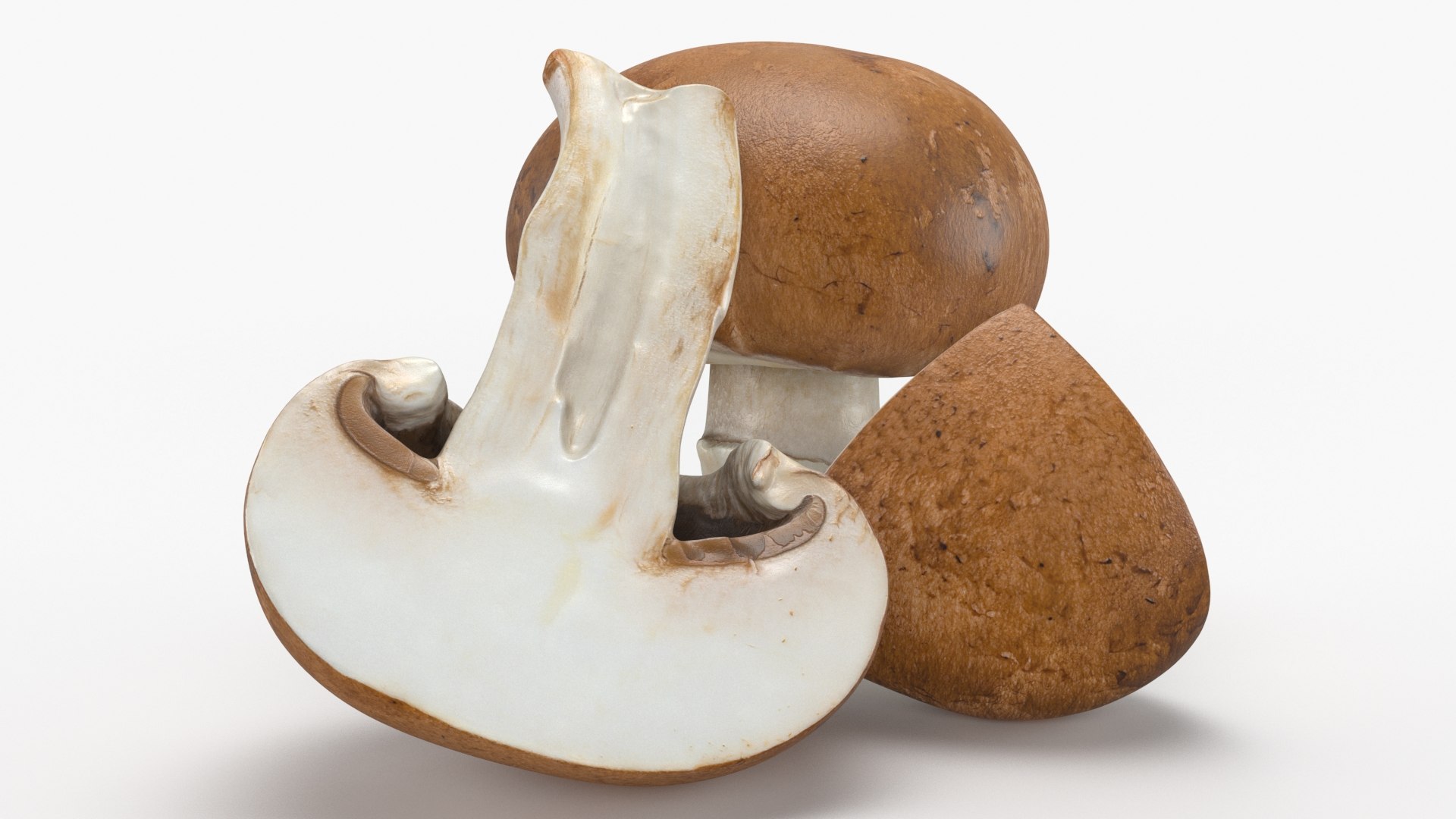 3D Swiss Brown Mushroom - TurboSquid 1819943