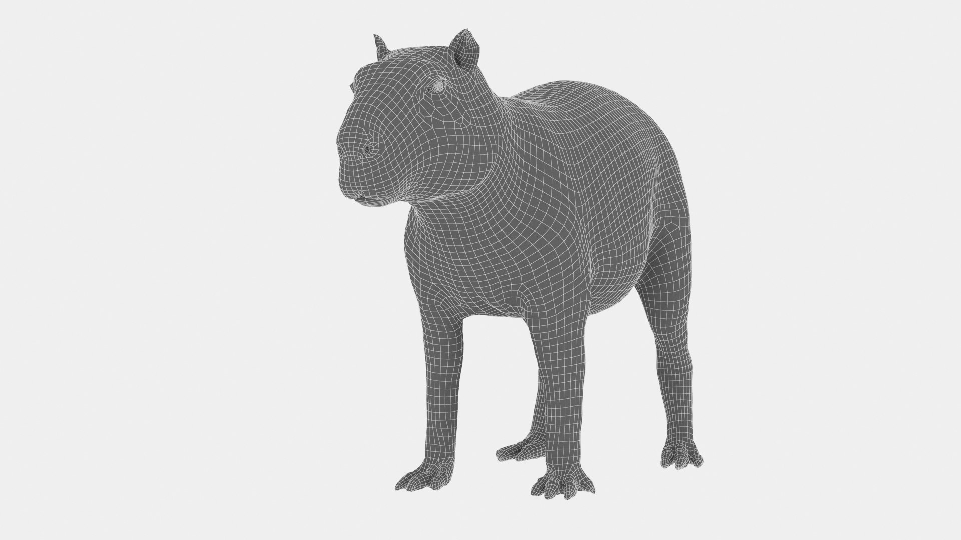 Capybara 3D - TurboSquid 1859104