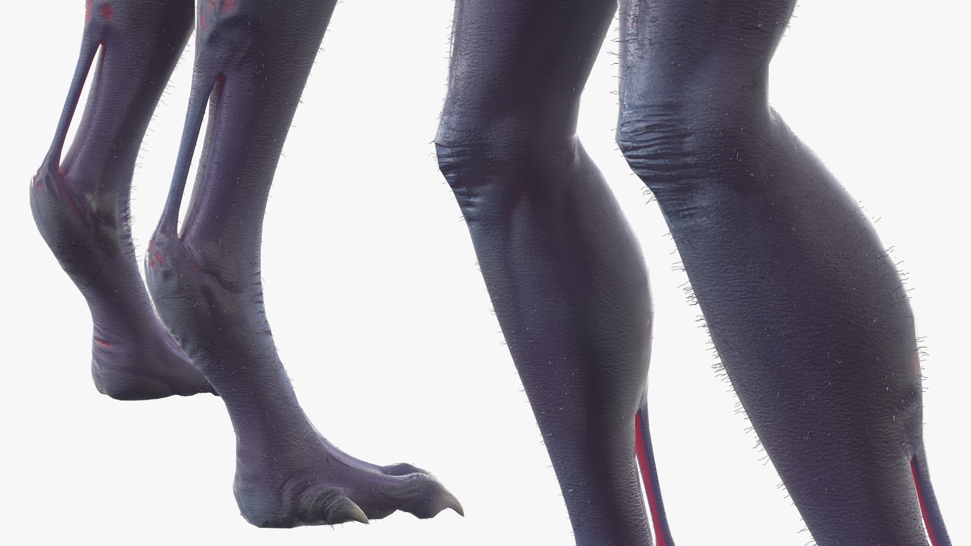 Creature t pose fur 3D model - TurboSquid 1703656