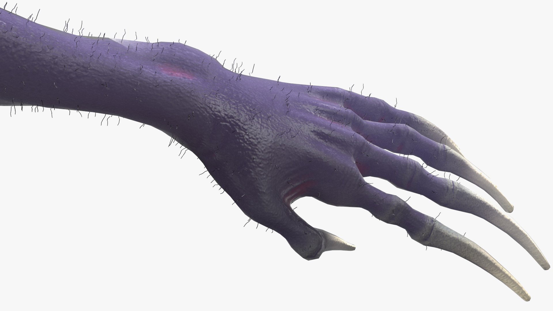 Creature t pose fur 3D model - TurboSquid 1703656